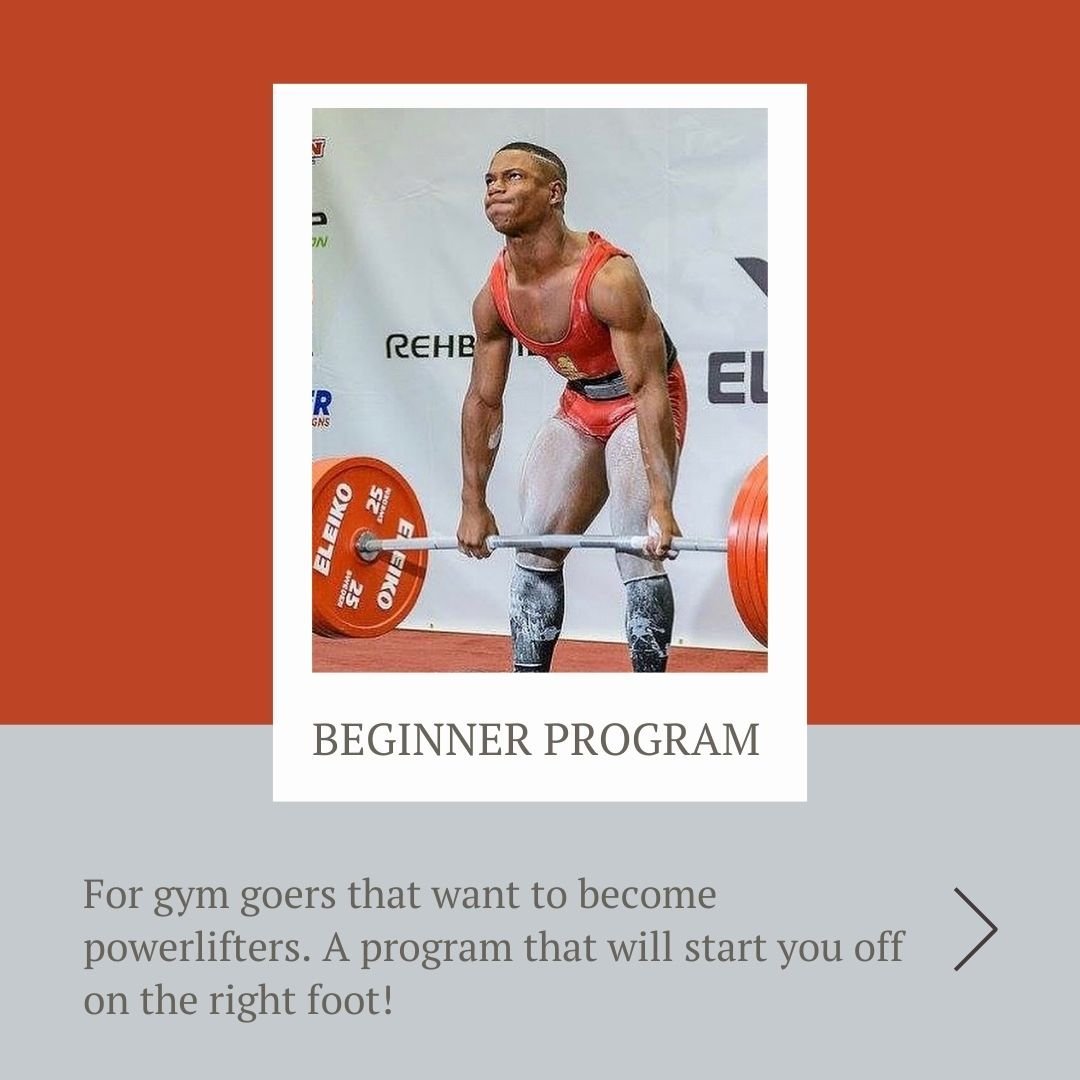 Beginner Program by Austin Perkins